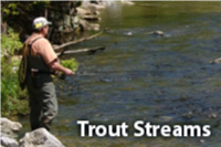 Trout Streams